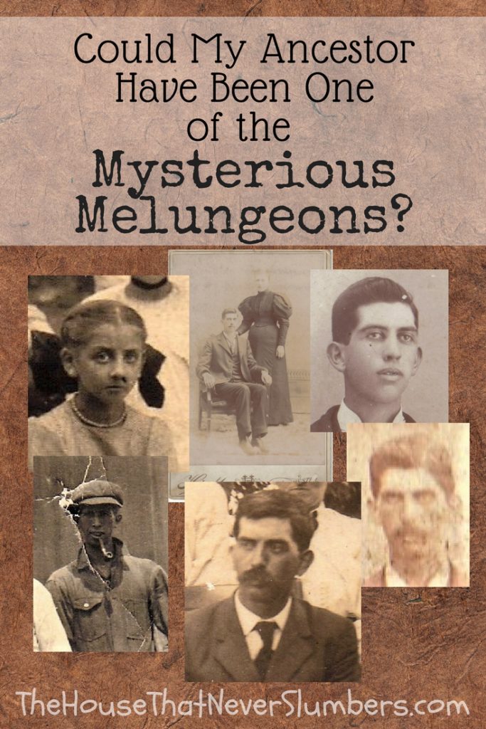 Could My Ancestor Have Been One of the Mysterious Melungeons? | The ...